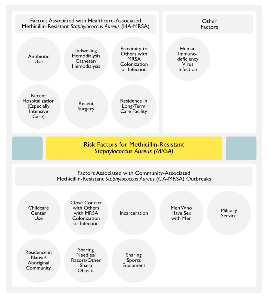 Staphylococcus Aureus – MD Nexus