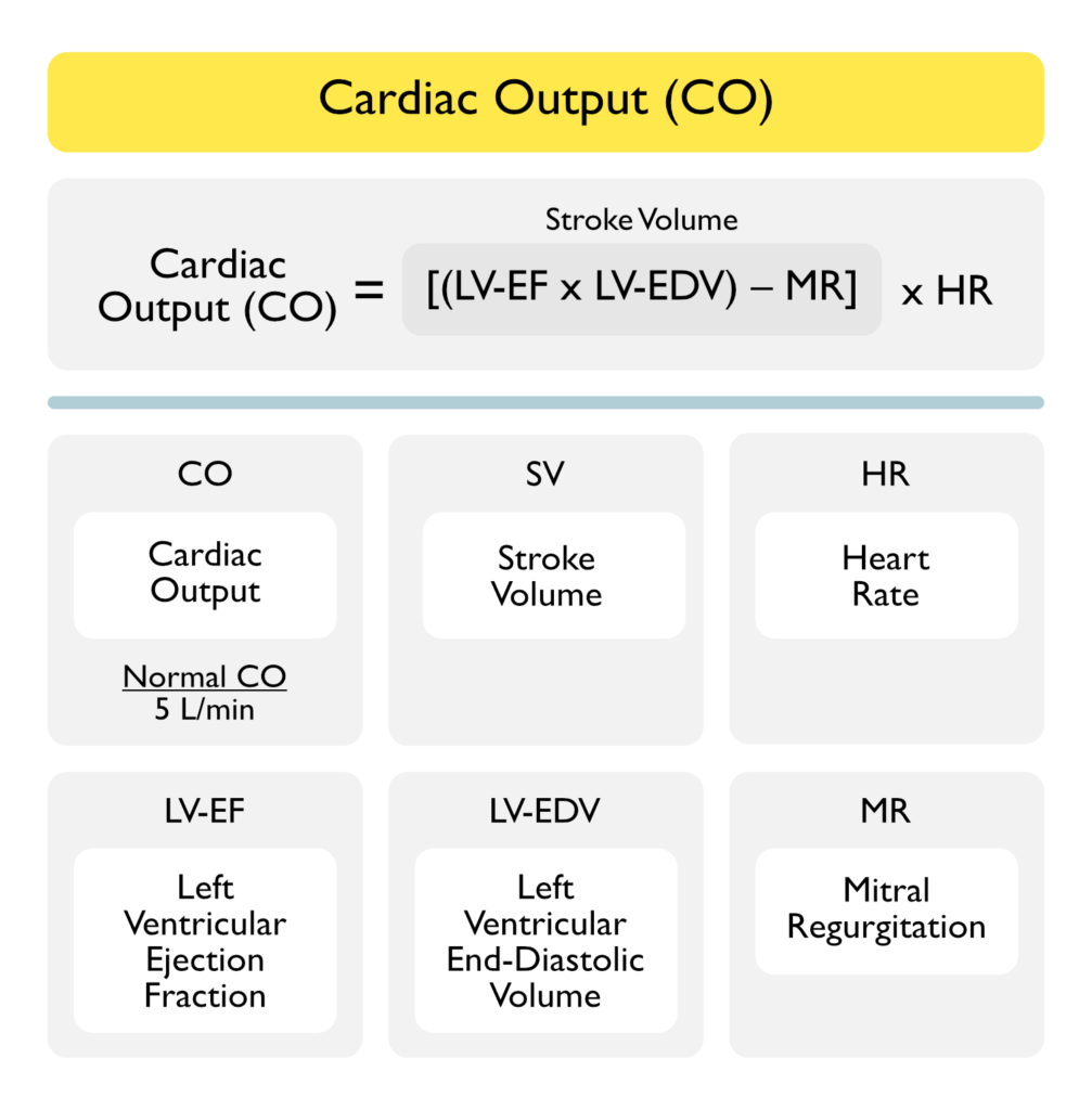 Hemodynamics – MD Nexus