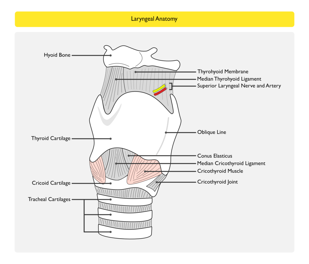 Airway Management-Part 3 – MD Nexus