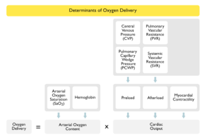 Hypoxemia – MD Nexus